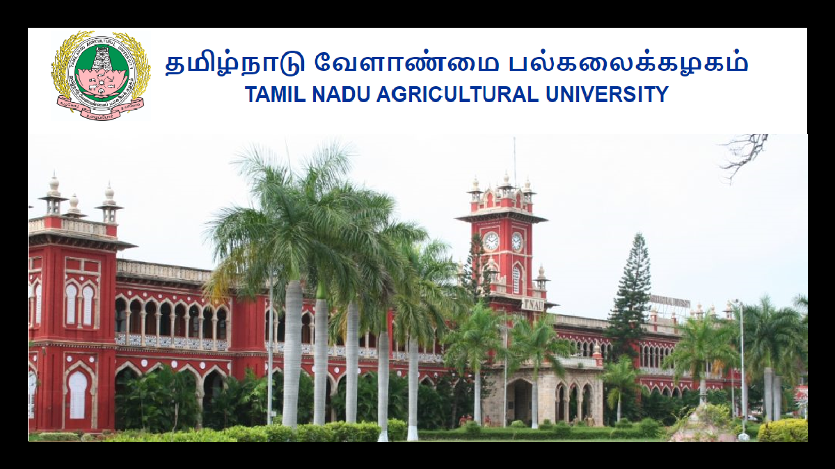 TNAU கோயம்புத்தூர் வேலைவாய்ப்பு 2024, 14 JRF, SRF, Field Assistant, and ...